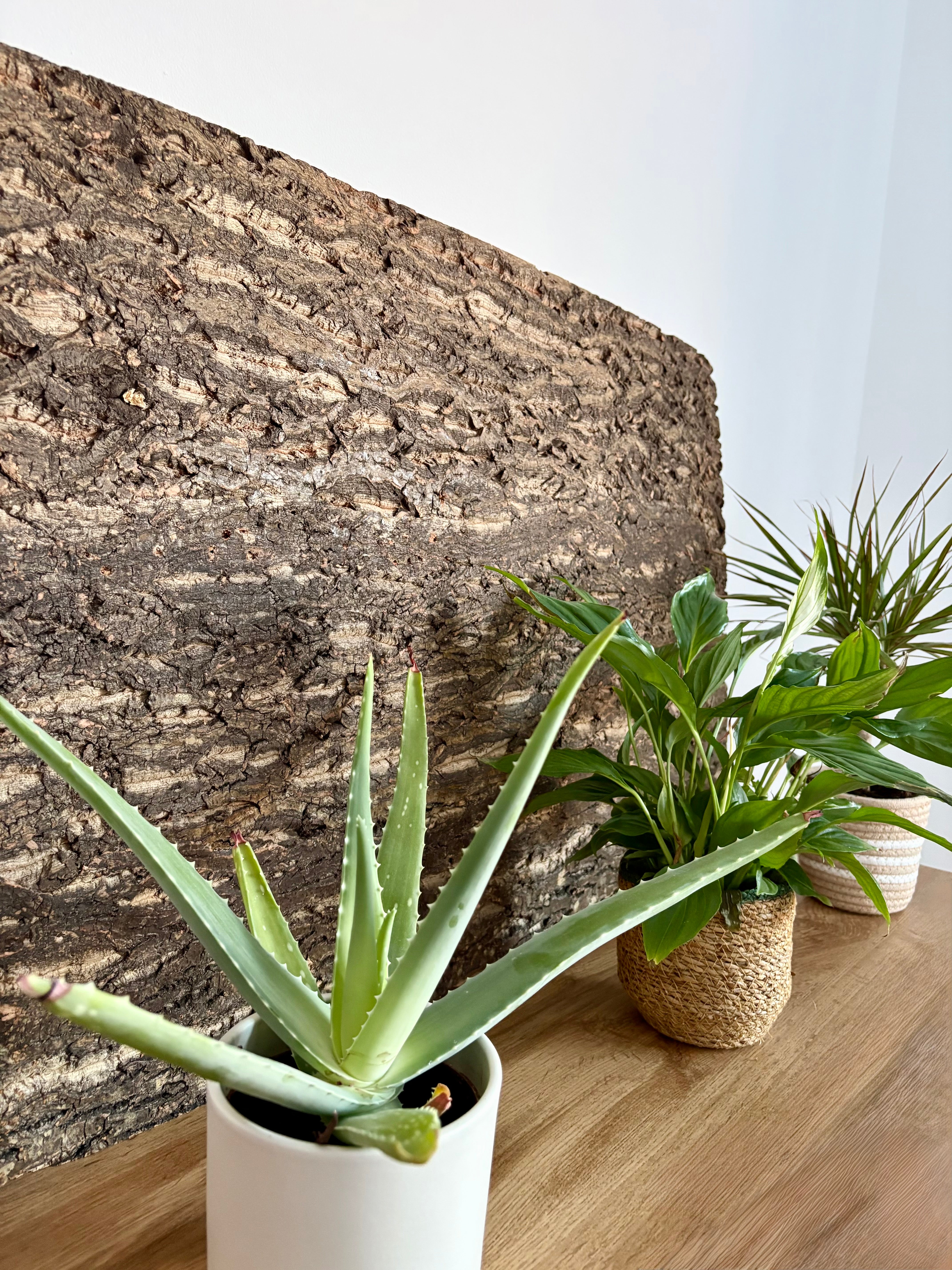 Cork Bark Background Tiles