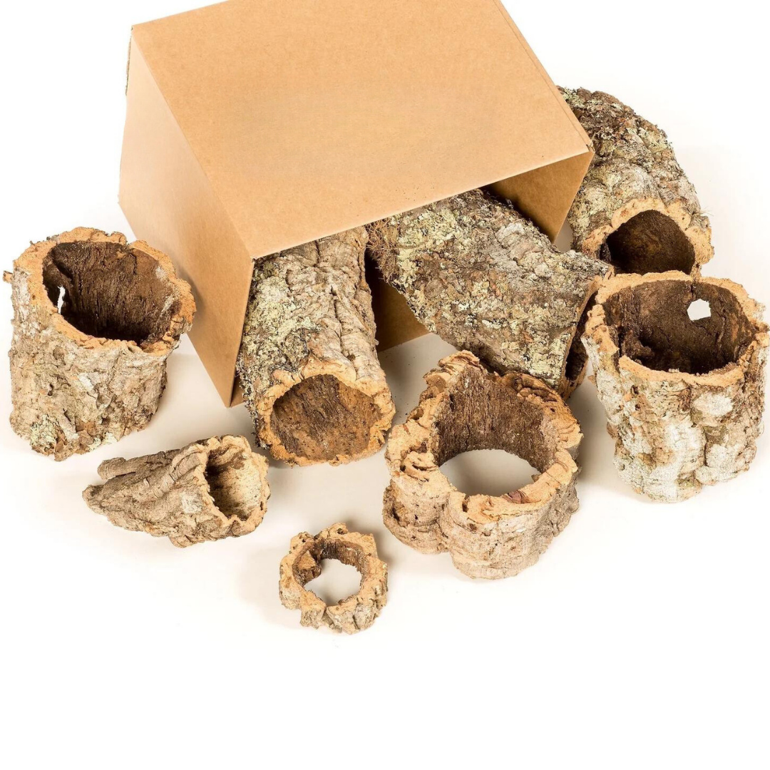 Cork Bark for Reptile Enclosures | Benefits of Cork Bark