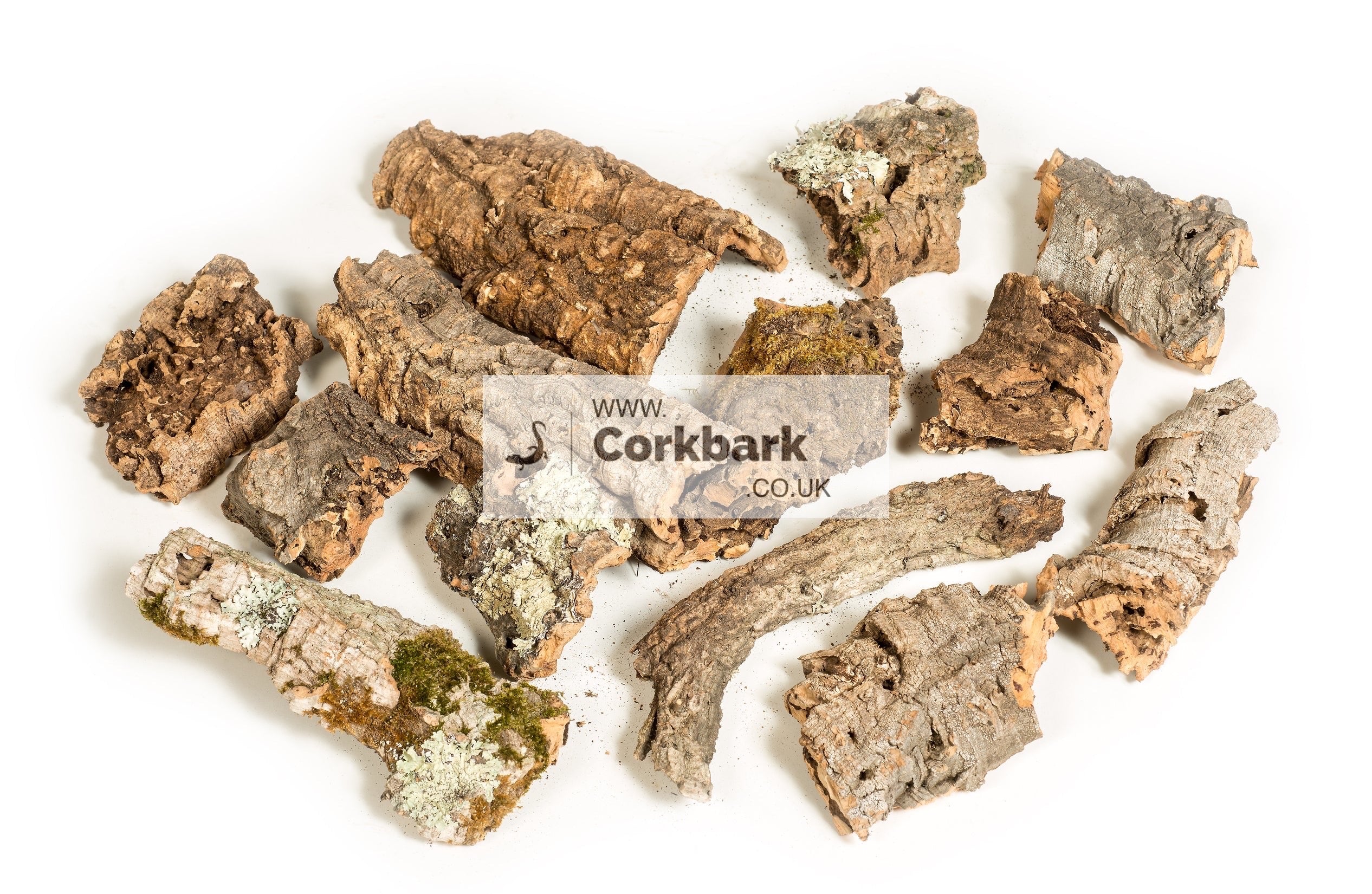 2kg Mixed Box Cork Bark Pieces | Corkbark UK