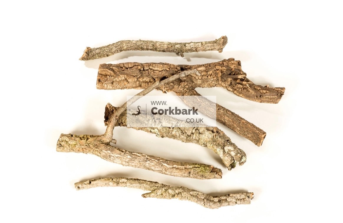 2.5kg Cork Bark Branches 30cm In Length | Corkbark UK